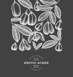 Hand drawn sketch style ackee banner organic Vector Image