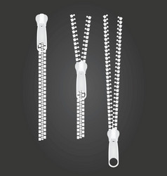 Silver Zip Set Royalty Free Vector Image - VectorStock