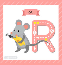 Flashcard Rat Vector Images (52)