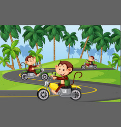 Race track scene with monkey racing drivers Vector Image