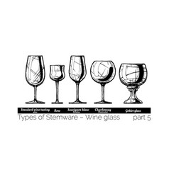 Stemware types Royalty Free Vector Image - VectorStock
