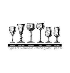 Stemware types Royalty Free Vector Image - VectorStock