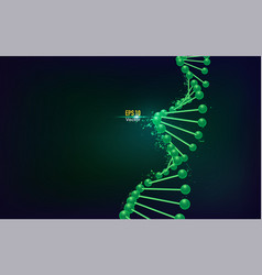 Colorful dna spirals bright Royalty Free Vector Image