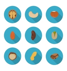 Chestnut icon flat style Royalty Free Vector Image