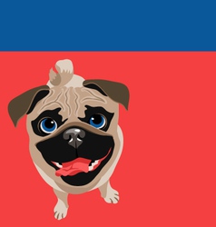 Chihuhua Royalty Free Vector Image - VectorStock