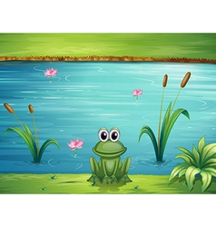 Cartoon lotus flower Royalty Free Vector Image