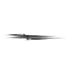 Grungy grunge textured line divider paintbrush Vector Image