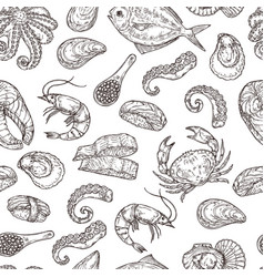 Sketch seafood lobster shellfish fish shrimp Vector Image
