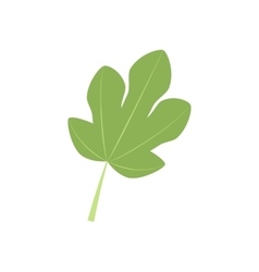 Fig Leaf Icon Royalty Free Vector Image - VectorStock