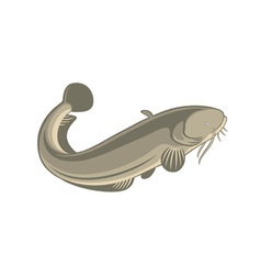 Catfish Vector Images (over 580)