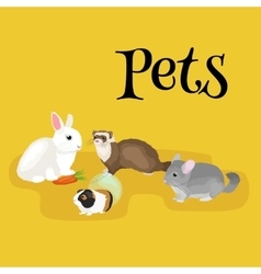 Home pets set cat dog parrot goldfish hamster Vector Image