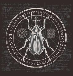 Weevil beetle Royalty Free Vector Image - VectorStock