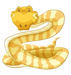 Snake Flashcards Vector Images (49)