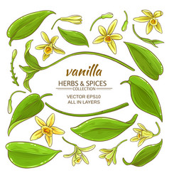Vanilla set Royalty Free Vector Image - VectorStock