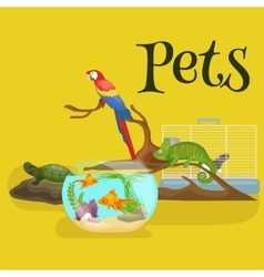 Home pets set cat dog parrot goldfish hamster Vector Image
