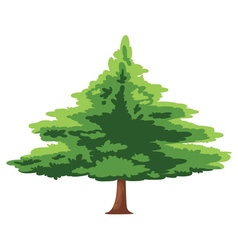 Tree Royalty Free Vector Image - VectorStock