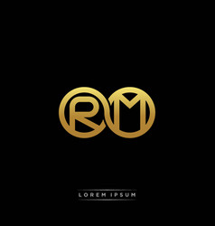 Rm initial letter split lowercase logo modern Vector Image