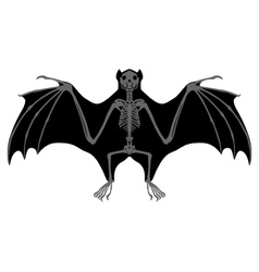 Bat skeleton Royalty Free Vector Image - VectorStock