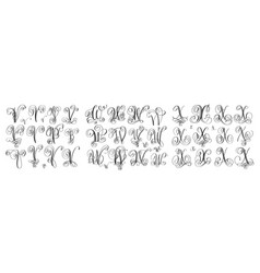 Calligraphy lettering script font w set hand Vector Image