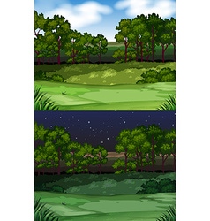 Forest scene with trees and field Royalty Free Vector Image