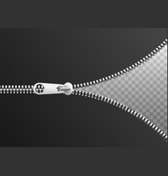 A zip Royalty Free Vector Image - VectorStock