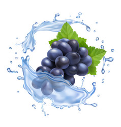 Red grape juice splash realistic icon Royalty Free Vector