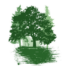 Spruce forest logo Royalty Free Vector Image - VectorStock