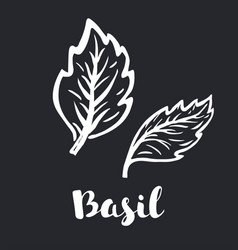Logo for basil Royalty Free Vector Image - VectorStock