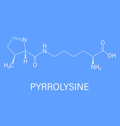 Pyrrolysine amino acid molecule skeletal formula Vector Image