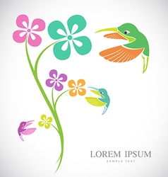 Hummingbird Border Vector Images (over 100)
