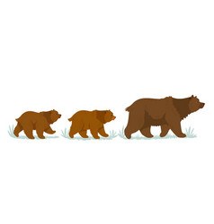 Three brown bears Royalty Free Vector Image - VectorStock