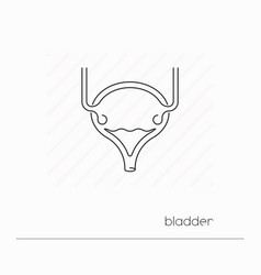 Female reproductive system icon isolated Vector Image