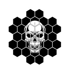 Skull 0001 Royalty Free Vector Image - VectorStock