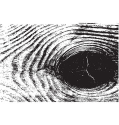 Wood Grain Knot Vector Images (over 360)