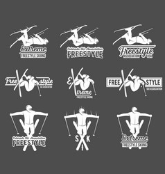 Set of vintage skiing labels and design elements Vector Image