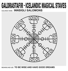 Ancient icelandic magical staves hraethigaldur Vector Image