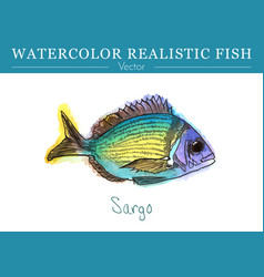 Hand painted watercolor edible fish design Vector Image