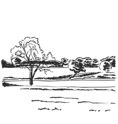 Hand drawn fields sketch and nature landscape Vector Image