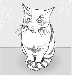 Baroque seamless pattern Royalty Free Vector Image