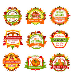 Autumn and badges set Royalty Free Vector Image