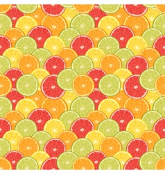 Fresh colorful citrus fruits seamless pattern Vector Image