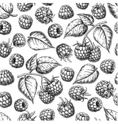 Raspberry seamless pattern drawing Royalty Free Vector Image