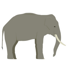 Elephant Side Vector Images (over 350)