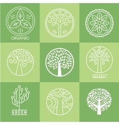 Tree icon set Royalty Free Vector Image - VectorStock