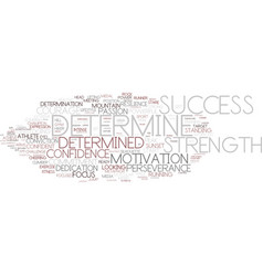 Determination word cloud concept Royalty Free Vector Image