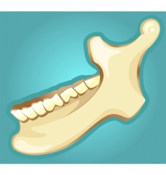 Jaws Vector Images (over 10,000)