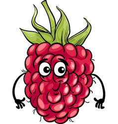 Raspberry cartoon Royalty Free Vector Image - VectorStock