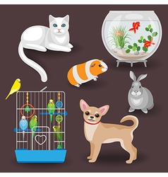 Home Pets Set Royalty Free Vector Image - VectorStock