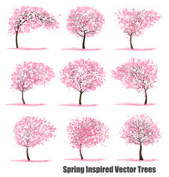 Cherry blossom flower Royalty Free Vector Image
