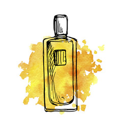 Drawing perfume bottles Royalty Free Vector Image